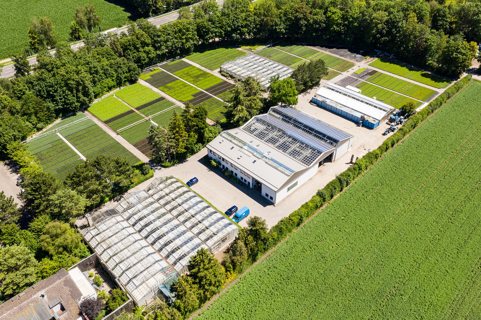 Josef Saule GmbH Landschafts- und Sportplatzbau » A³